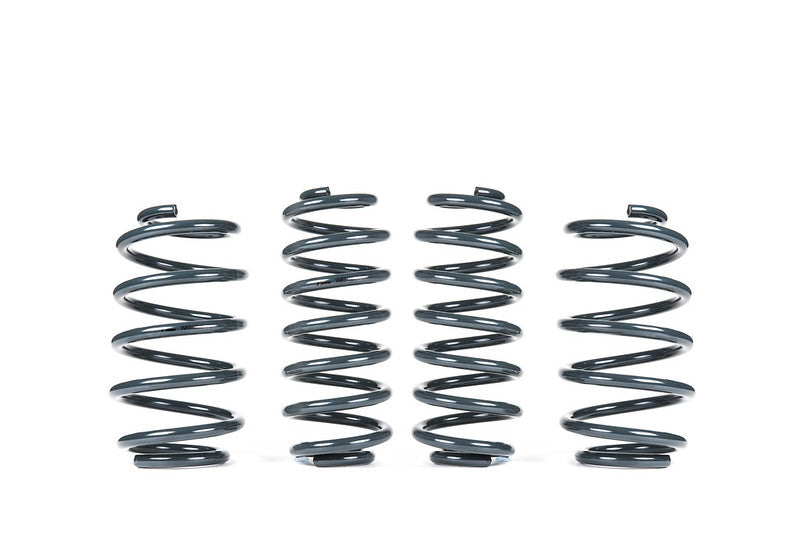RacingLine Sports Spring Kit / Polo GTI AW – Racingline USA